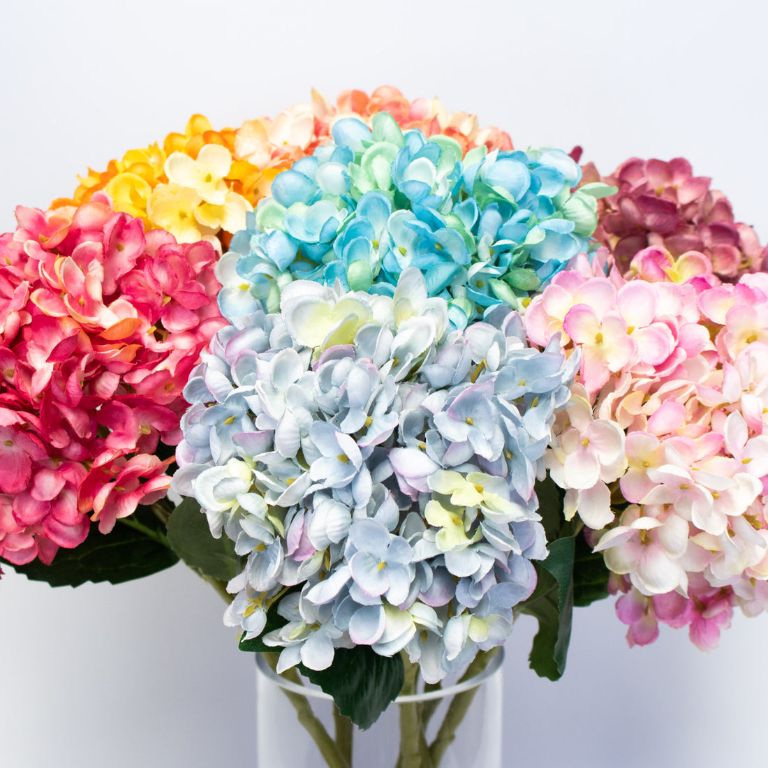 Indigo & Jade – Indigo & Jade